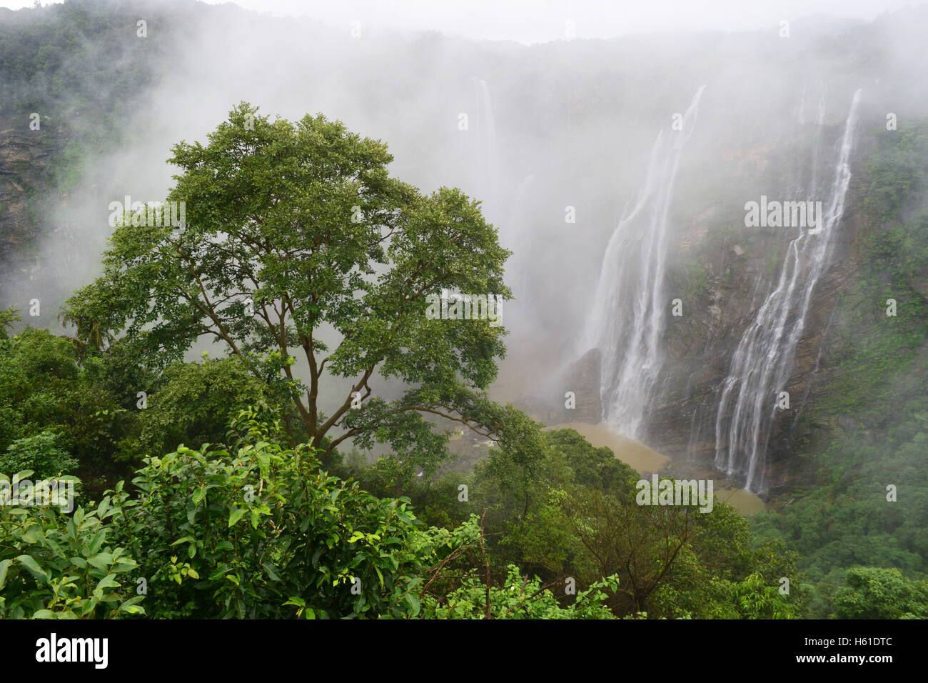 Jog Falls