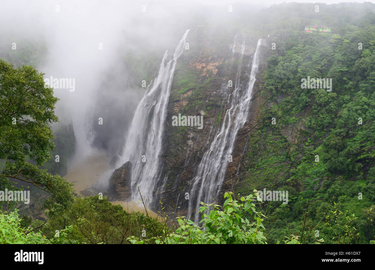 Jog falls jog falls karnataka India Stock Photo - Alamy