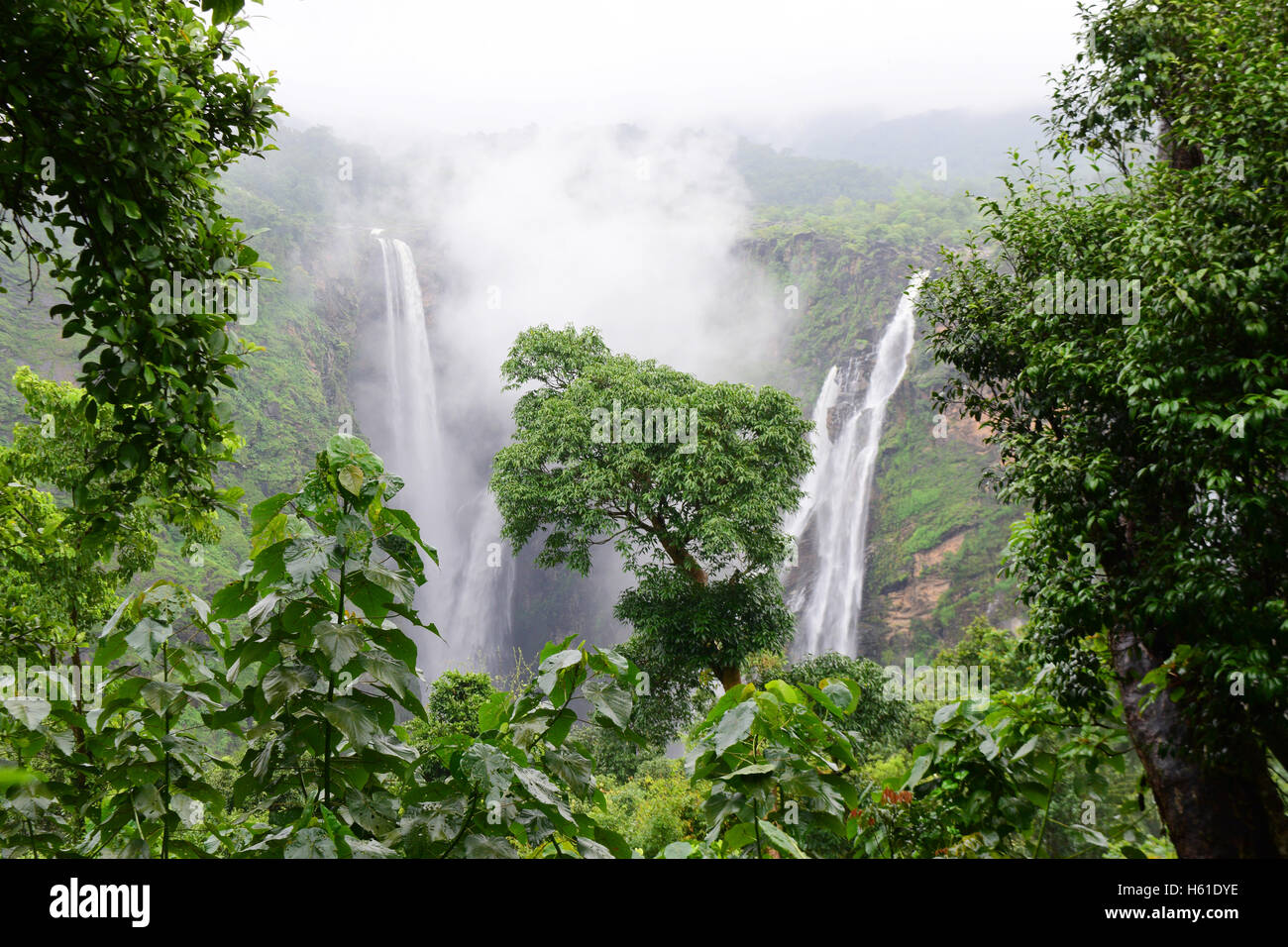 Jog falls Karnataka India Scenic view of Jog falls in Western ghat ...