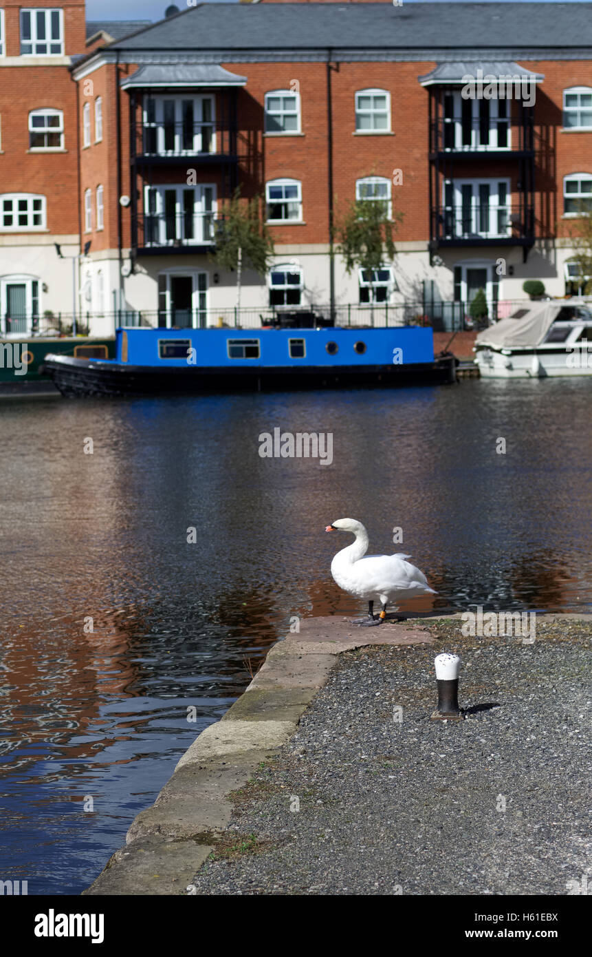 diglis basin worcester Stock Photo - Alamy