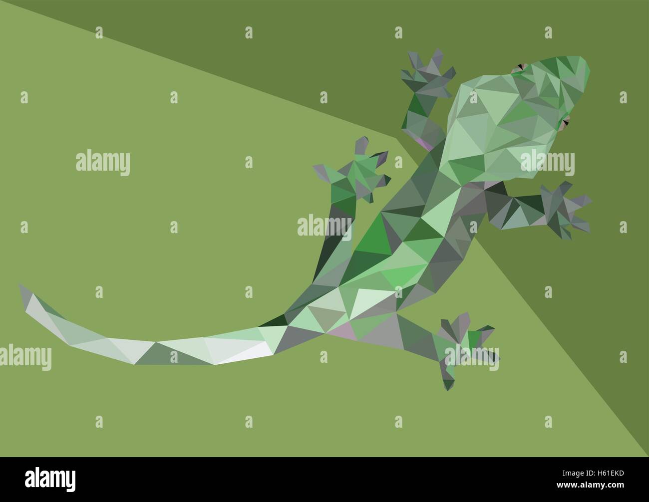 Gecko vector vectors hi-res stock photography and images - Alamy