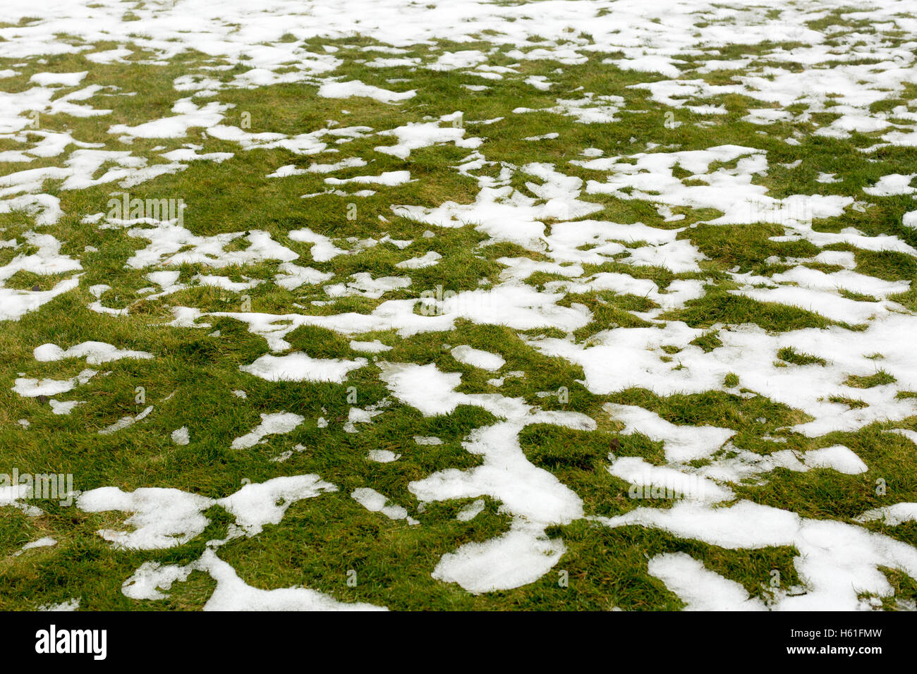snow on a grass Stock Photo - Alamy
