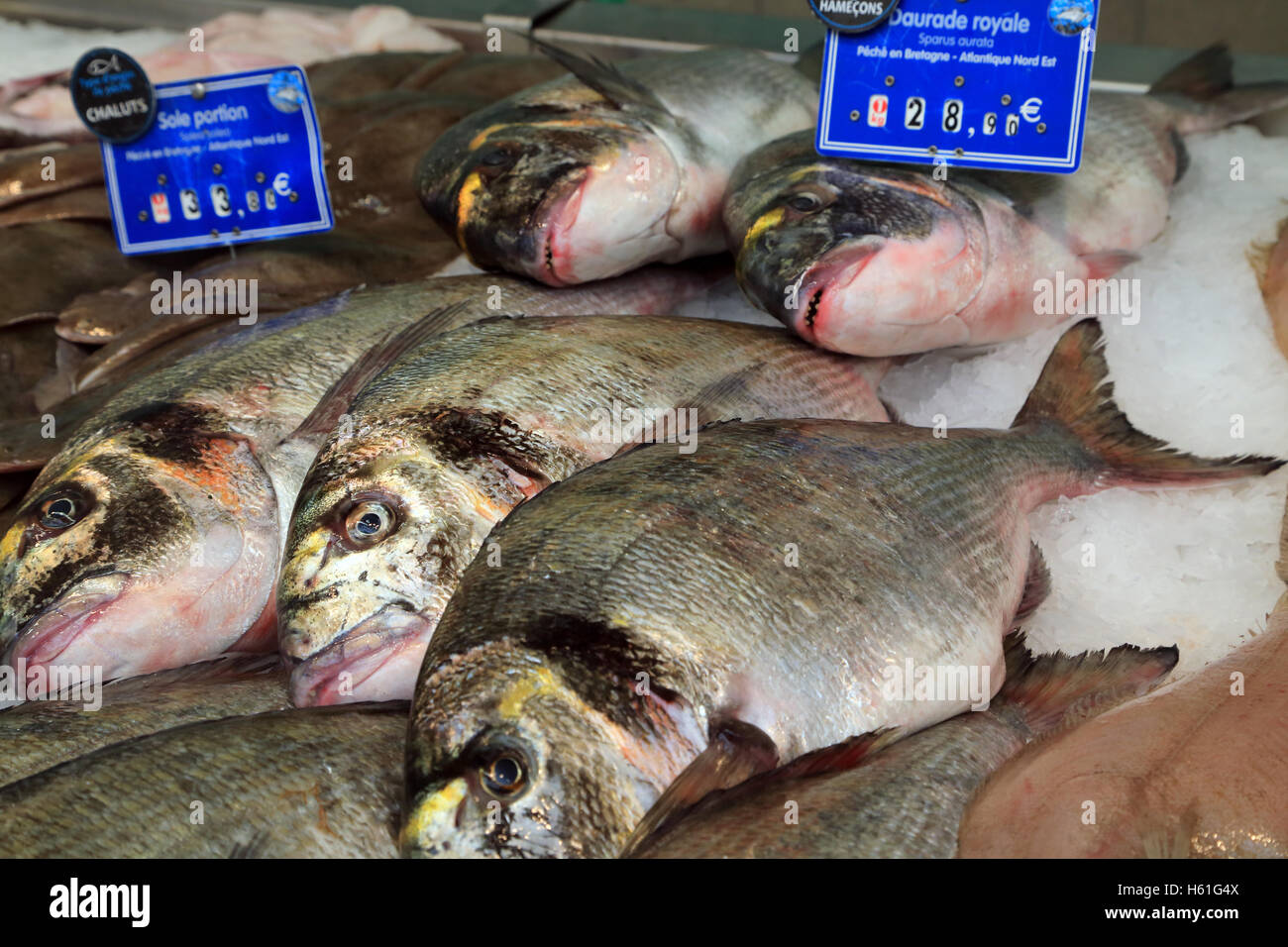 Stand de poisson hi-res stock photography and images - Alamy