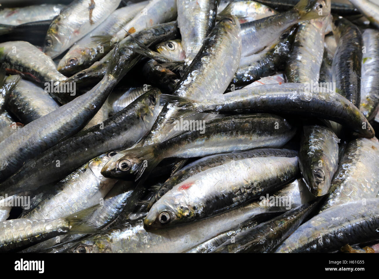 Sardines on market stall in Poisonnerie, Place de la Poisonnerie ...