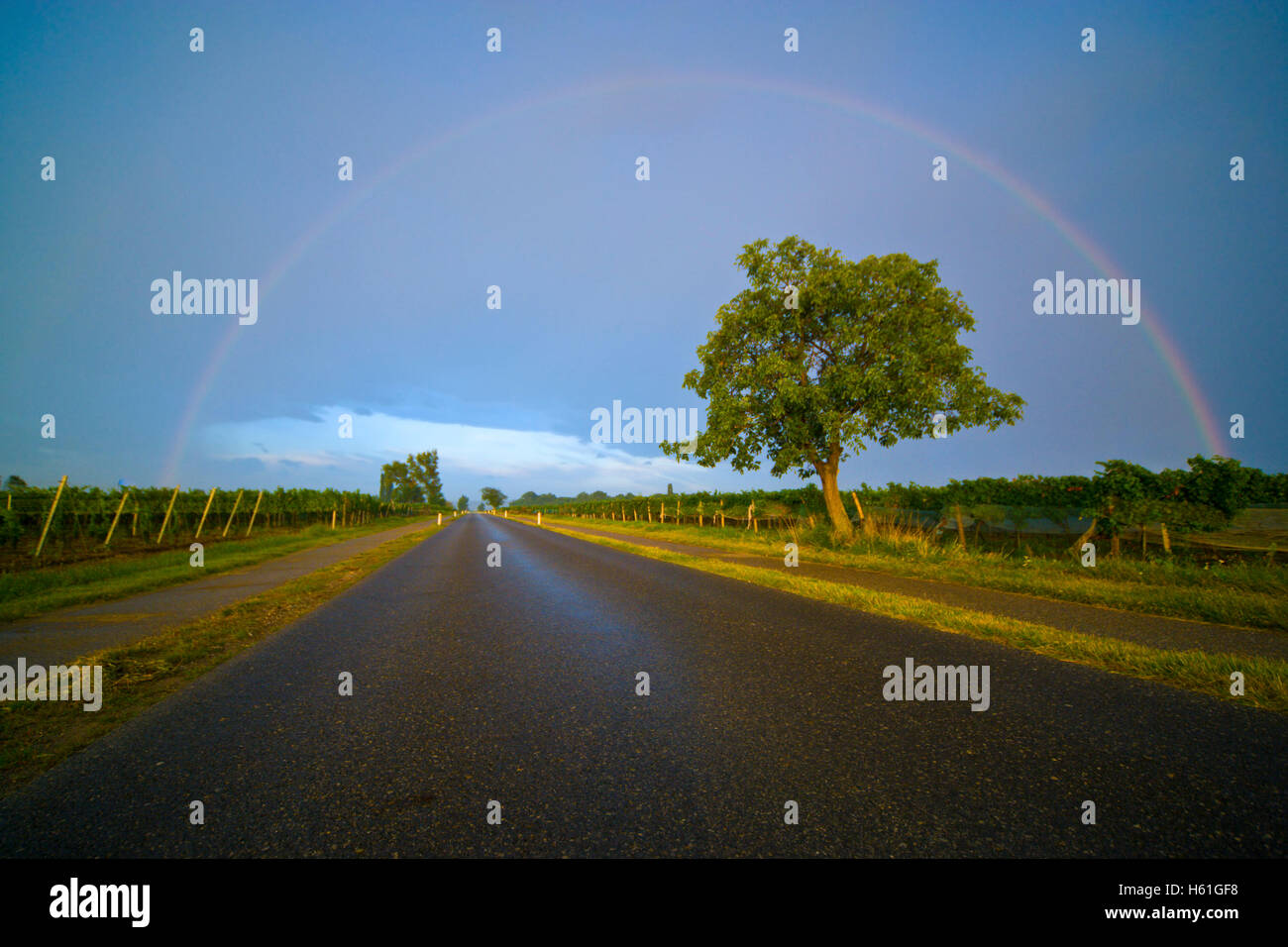Highway with rainbow hi-res stock photography and images - Alamy