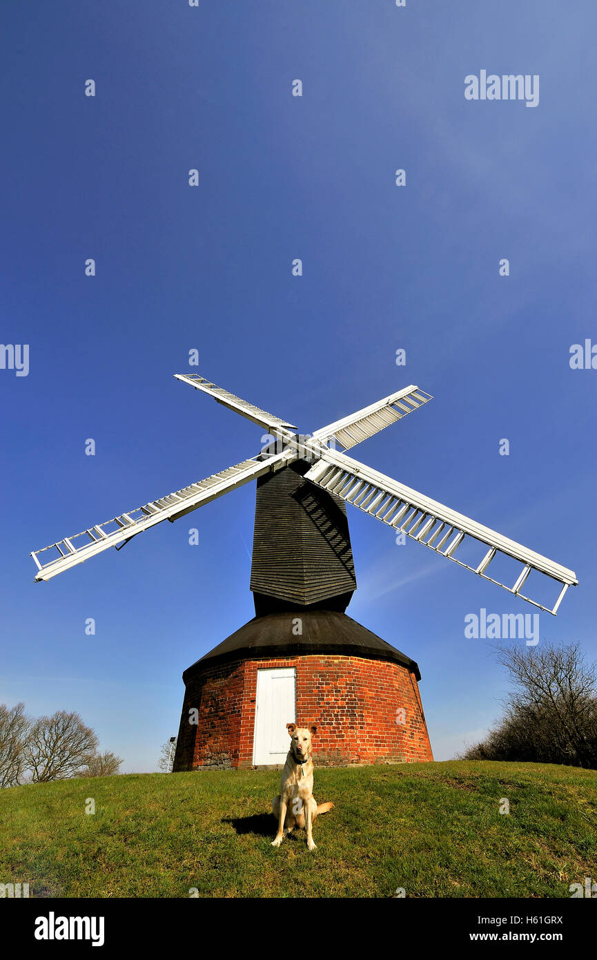 Mountnessing essex hi-res stock photography and images - Alamy