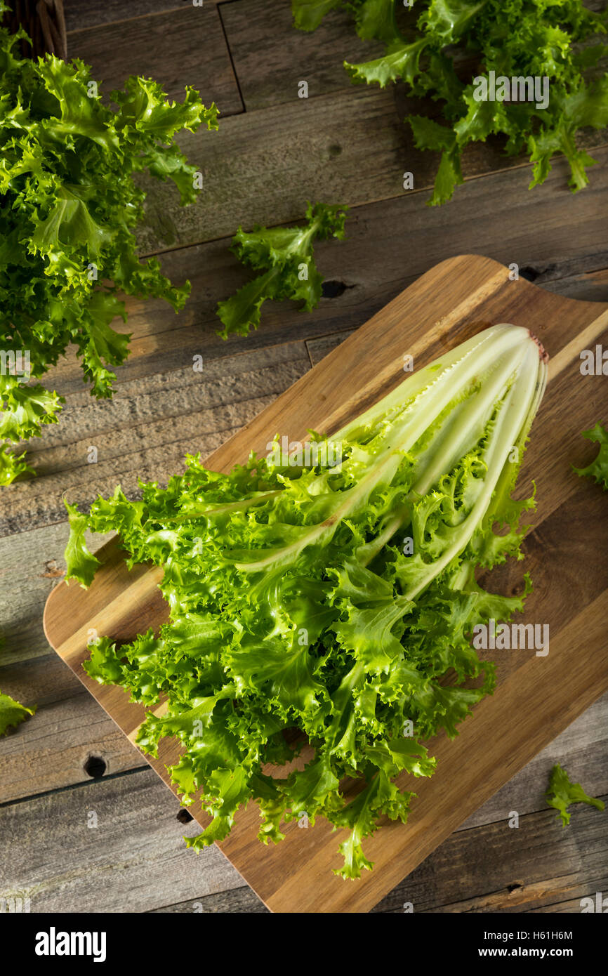 Curly endive hi-res stock photography and images - Alamy