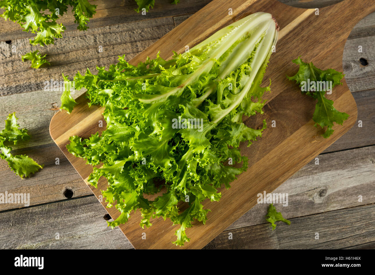 Raw Green Organic Endive Ready to Eat Stock Photo - Alamy