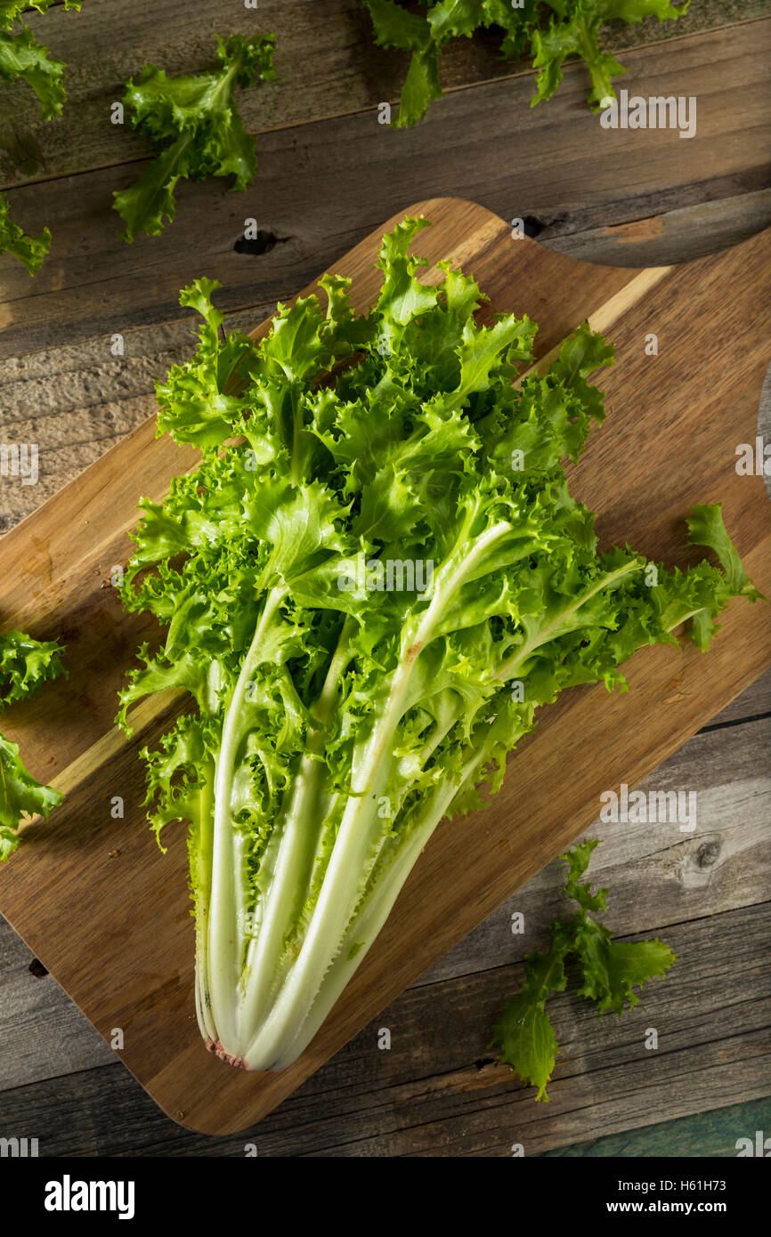 Endive green hi-res stock photography and images - Alamy