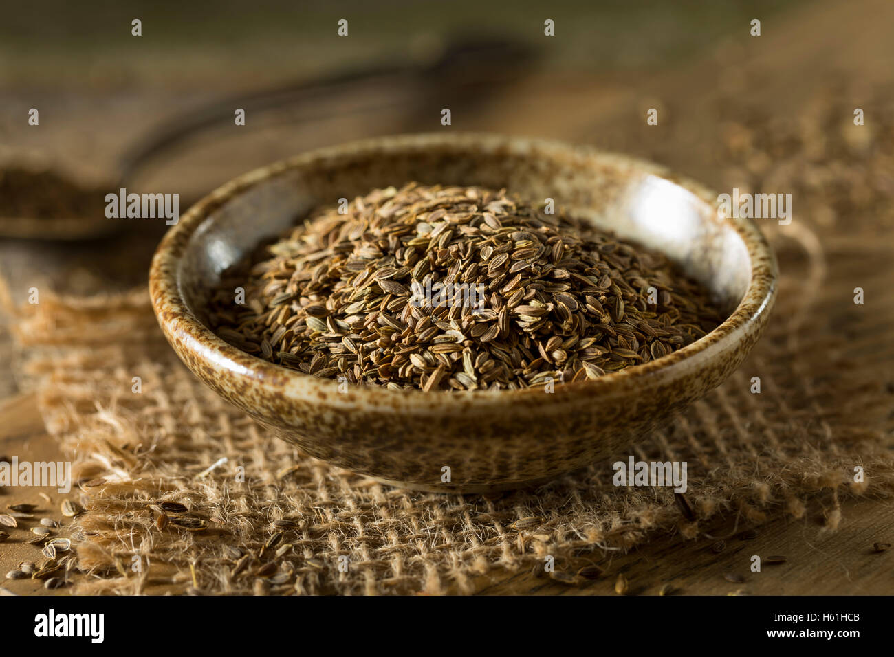 Raw Organic Dill Seed in a Bowl Stock Photo - Alamy
