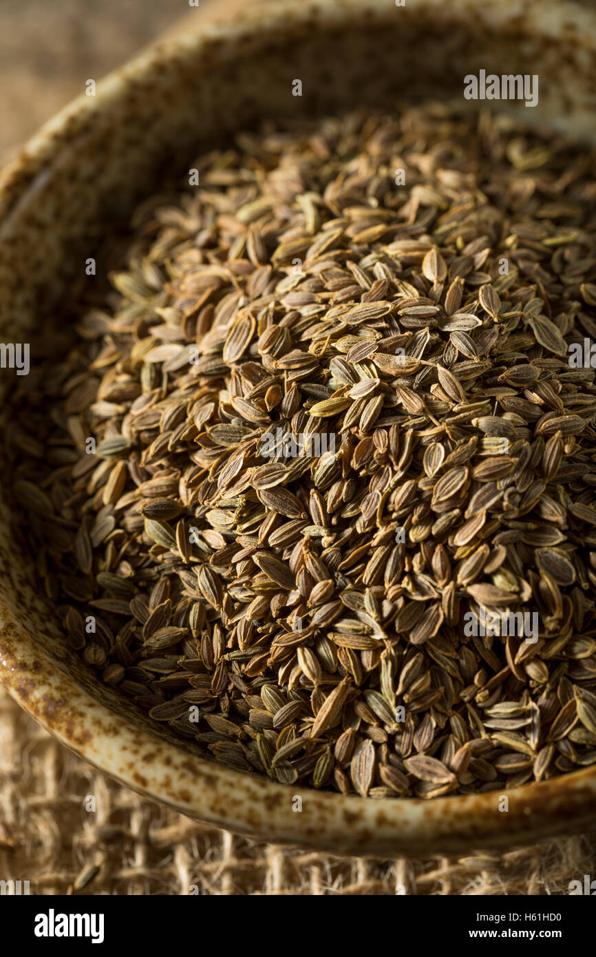 Dried dill seeds hi-res stock photography and images - Alamy