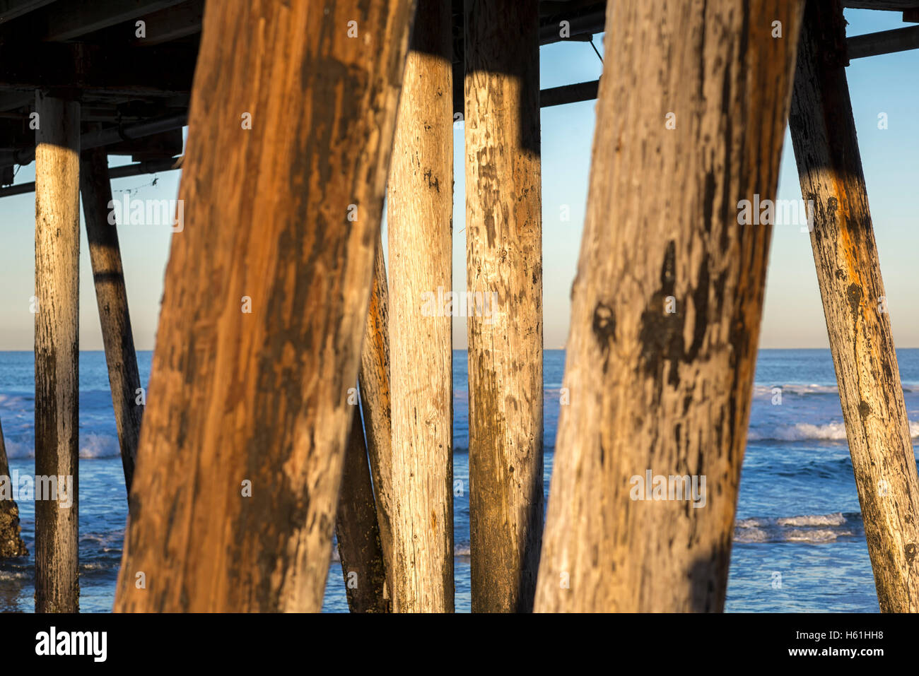 close up of wooden pier pilings Stock Photo - Alamy