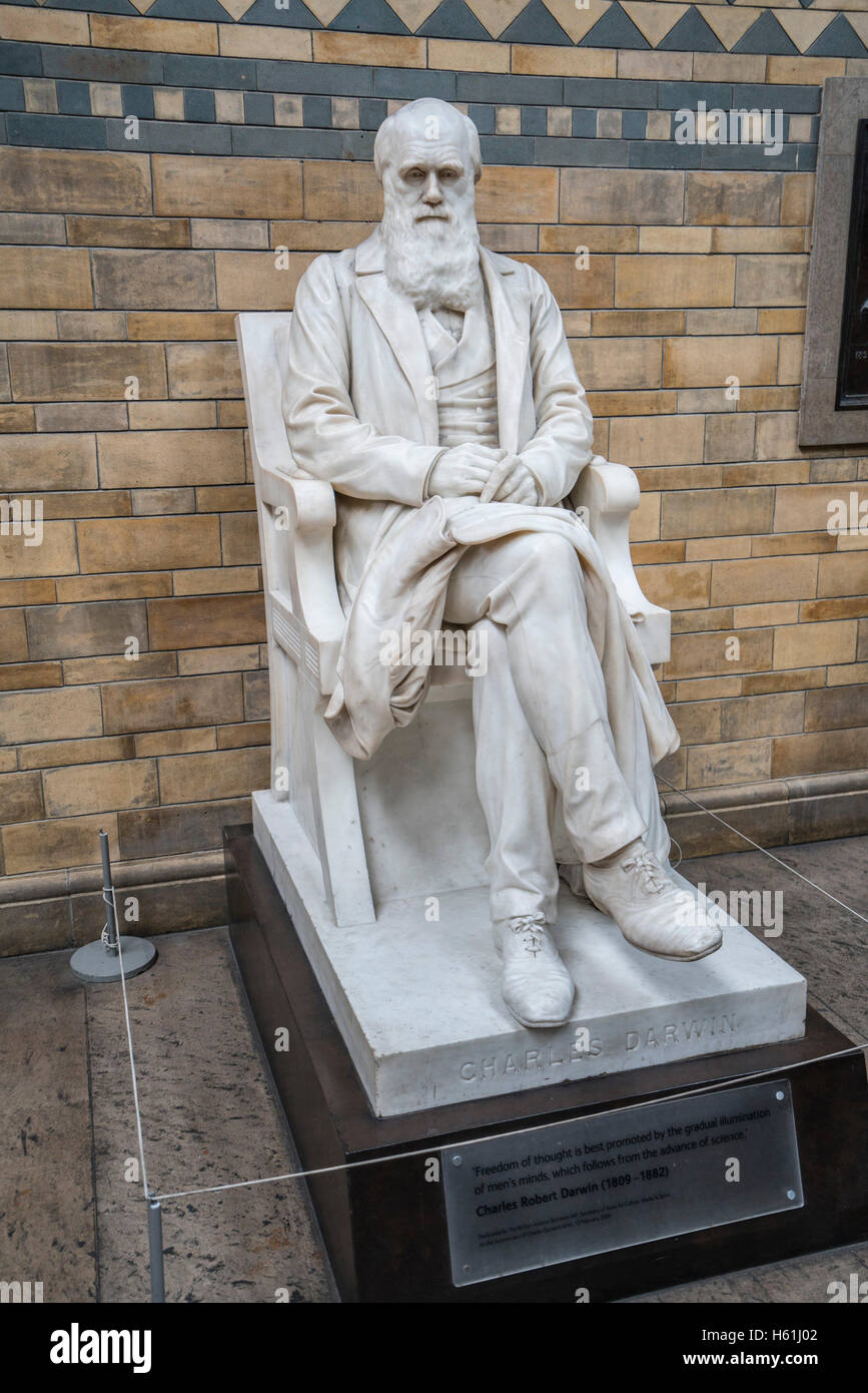 Charles Darwin statue in the Natural History Museum London Stock Photo ...
