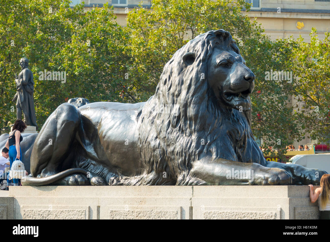 The famous lions at Trafalgar Square in London Stock Photo - Alamy