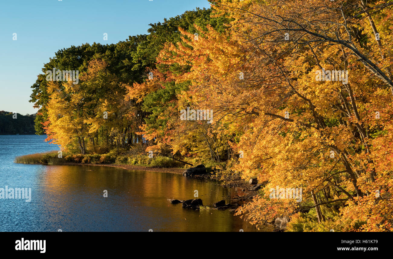 SEVEN TREE POND UNION MAINE USA FALL FOLIAGE Stock Photo - Alamy