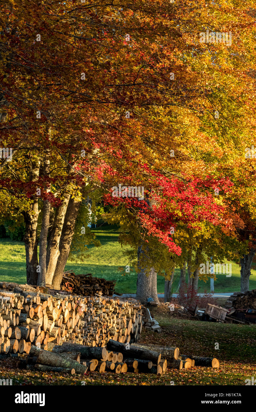 Fall foliage and the sunrise hi-res stock photography and images - Alamy