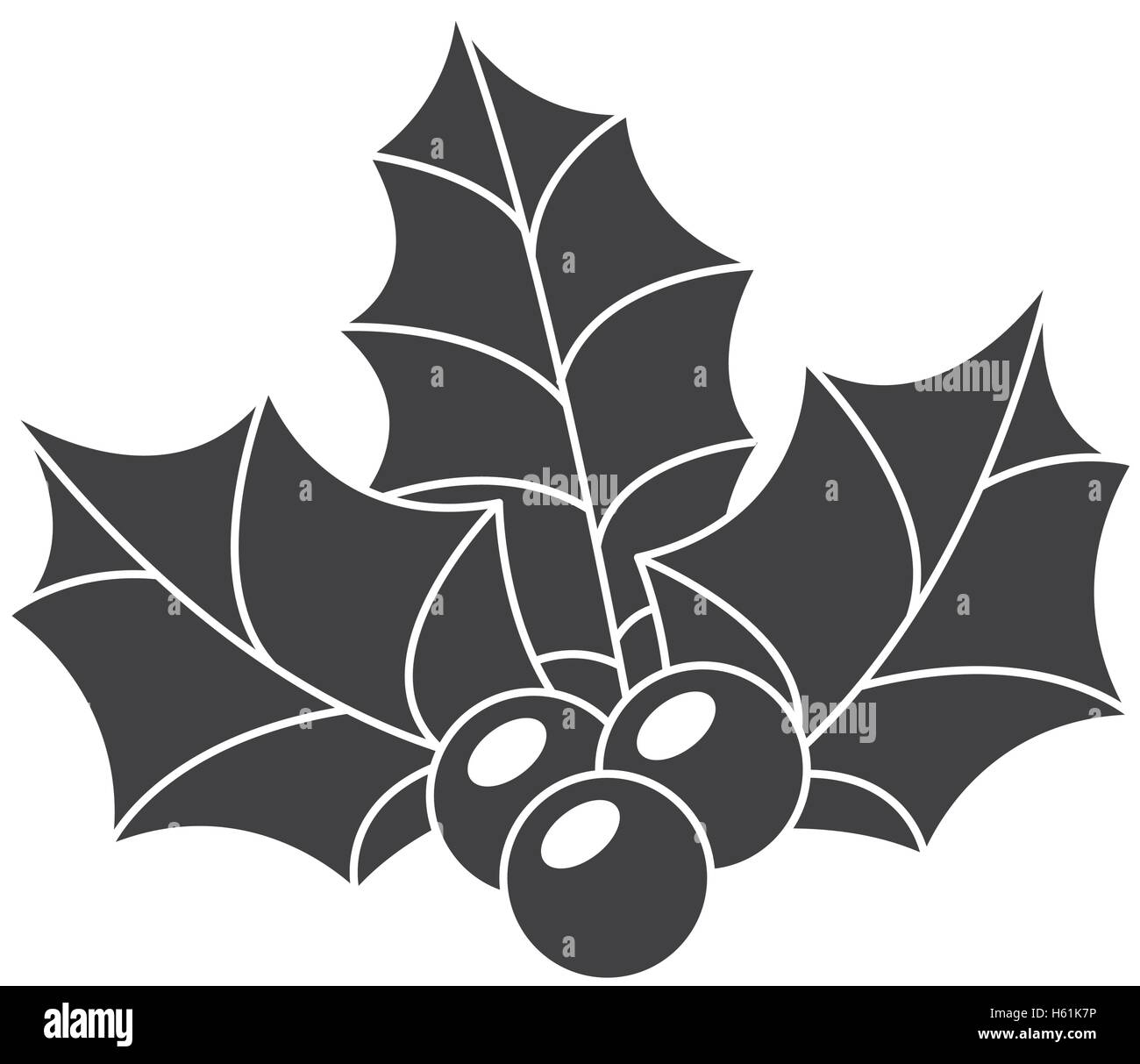 Christmas holy berry leaves branch Stock Vector Images - Alamy