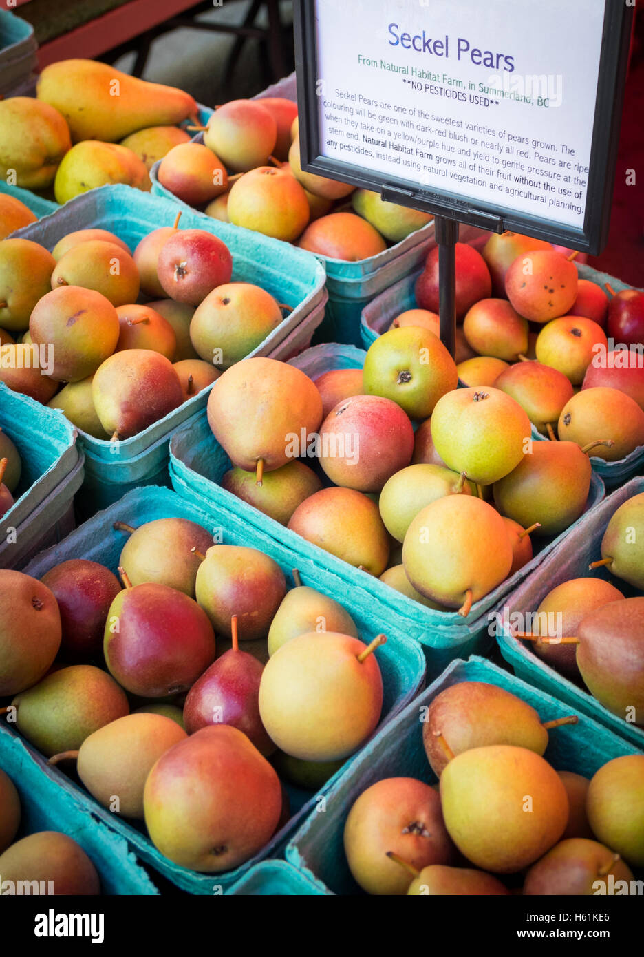 Sickle Pears
