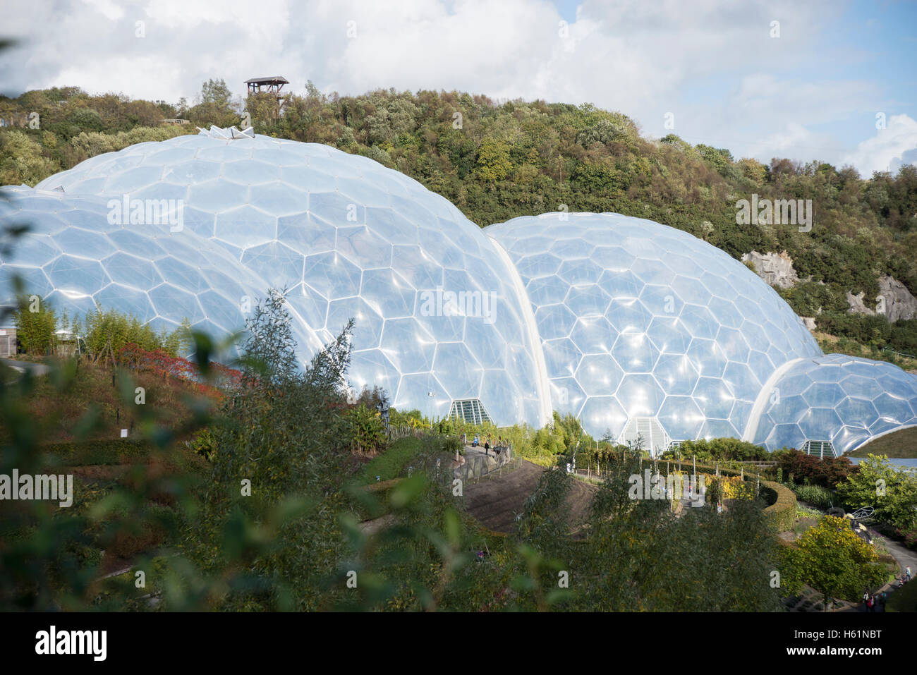 The Eden Project Stock Photo - Alamy