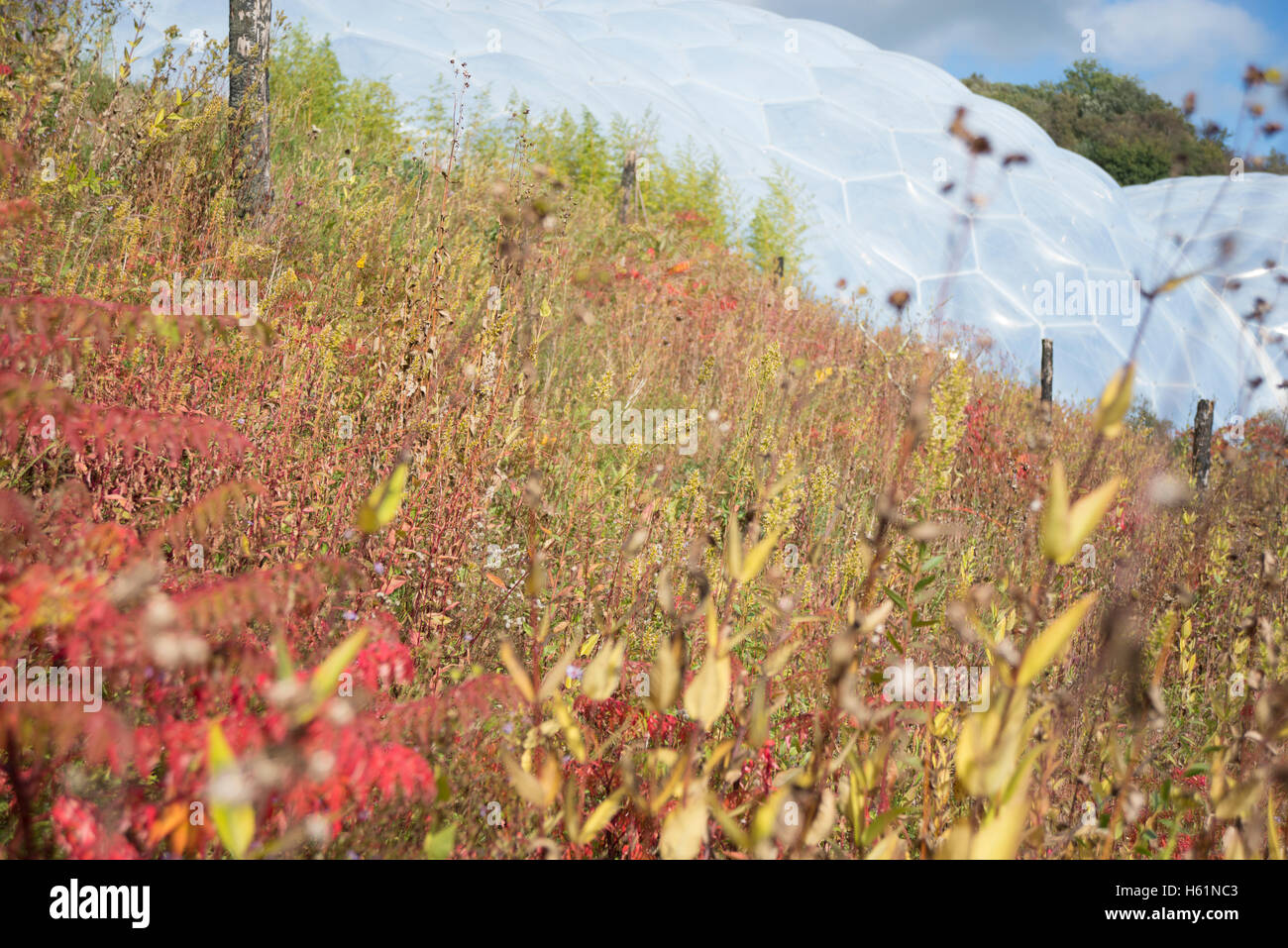 The Eden Project, Outdoor Biome Stock Photo - Alamy