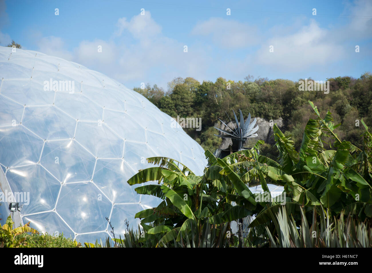 Outside the Rainforest Biome, Eden Project Stock Photo - Alamy