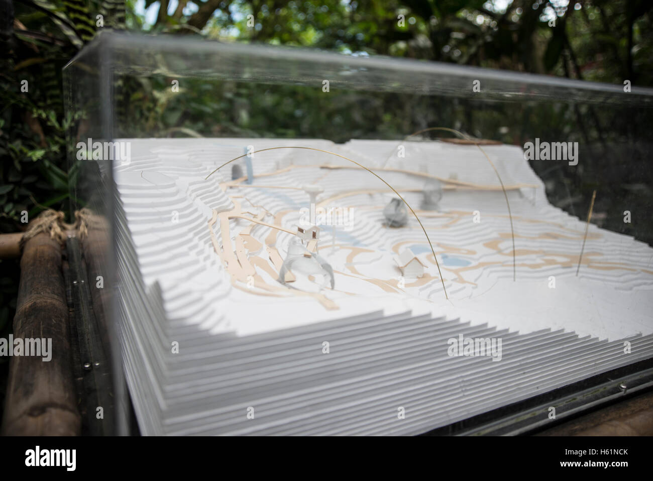 The Rainforest Biome's construction model for phase two of the current ...