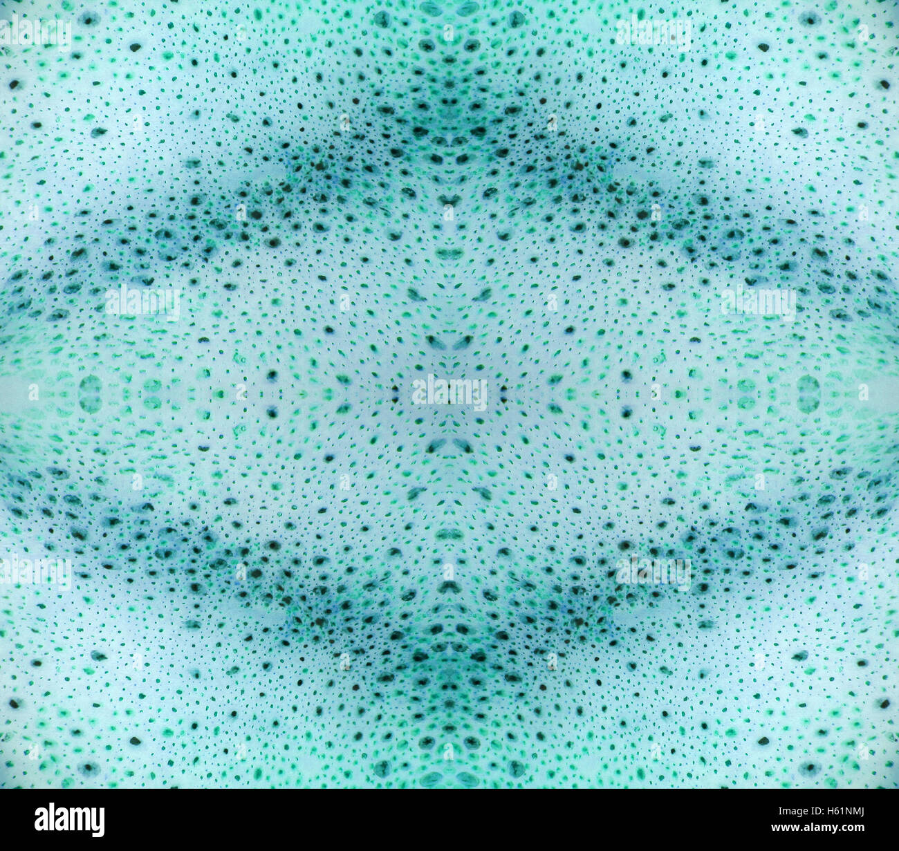 Metachrosis High Resolution Stock Photography and Images - Alamy