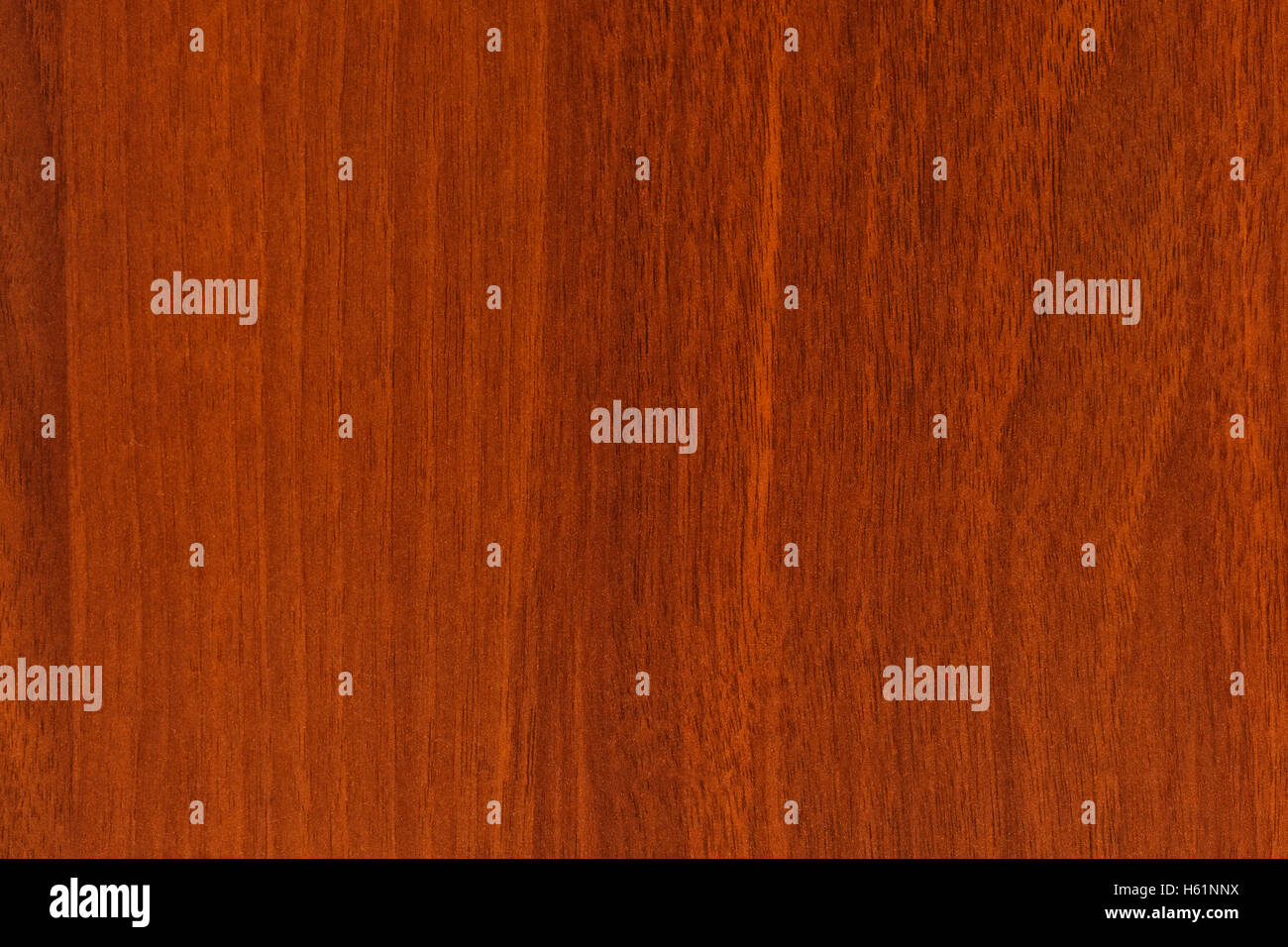 Wood texture, wooden red background, timber desk table floor, copyspace ...