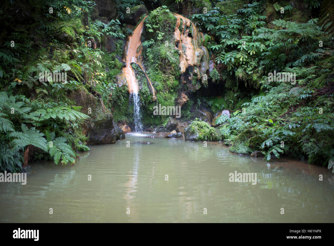 A small waterfall on the island of Sao Miguel, Azores Stock Photo - Alamy