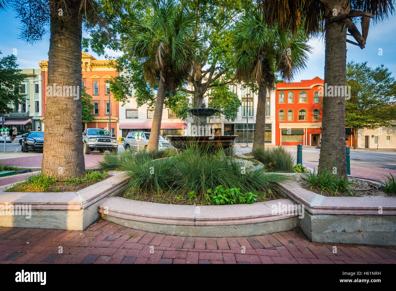 Fountain and palm trees in Columbia, South Carolina Stock Photo - Alamy