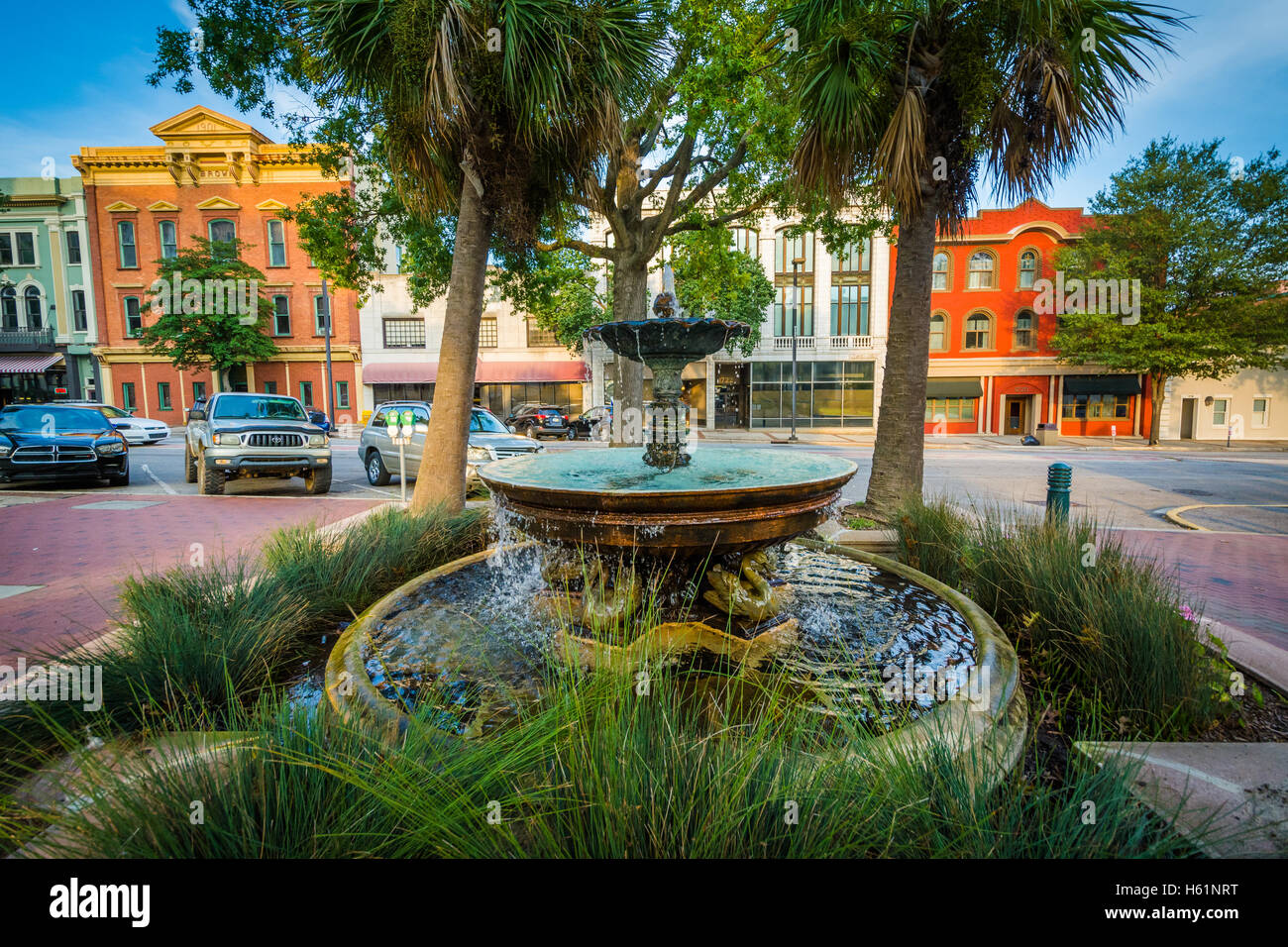 Fountain and palm trees in Columbia, South Carolina Stock Photo - Alamy