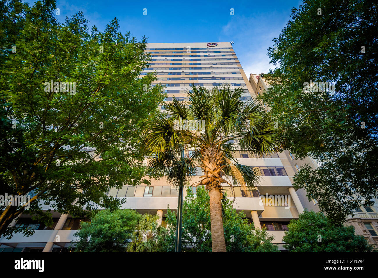 Modern buildings in Columbia, South Carolina Stock Photo - Alamy