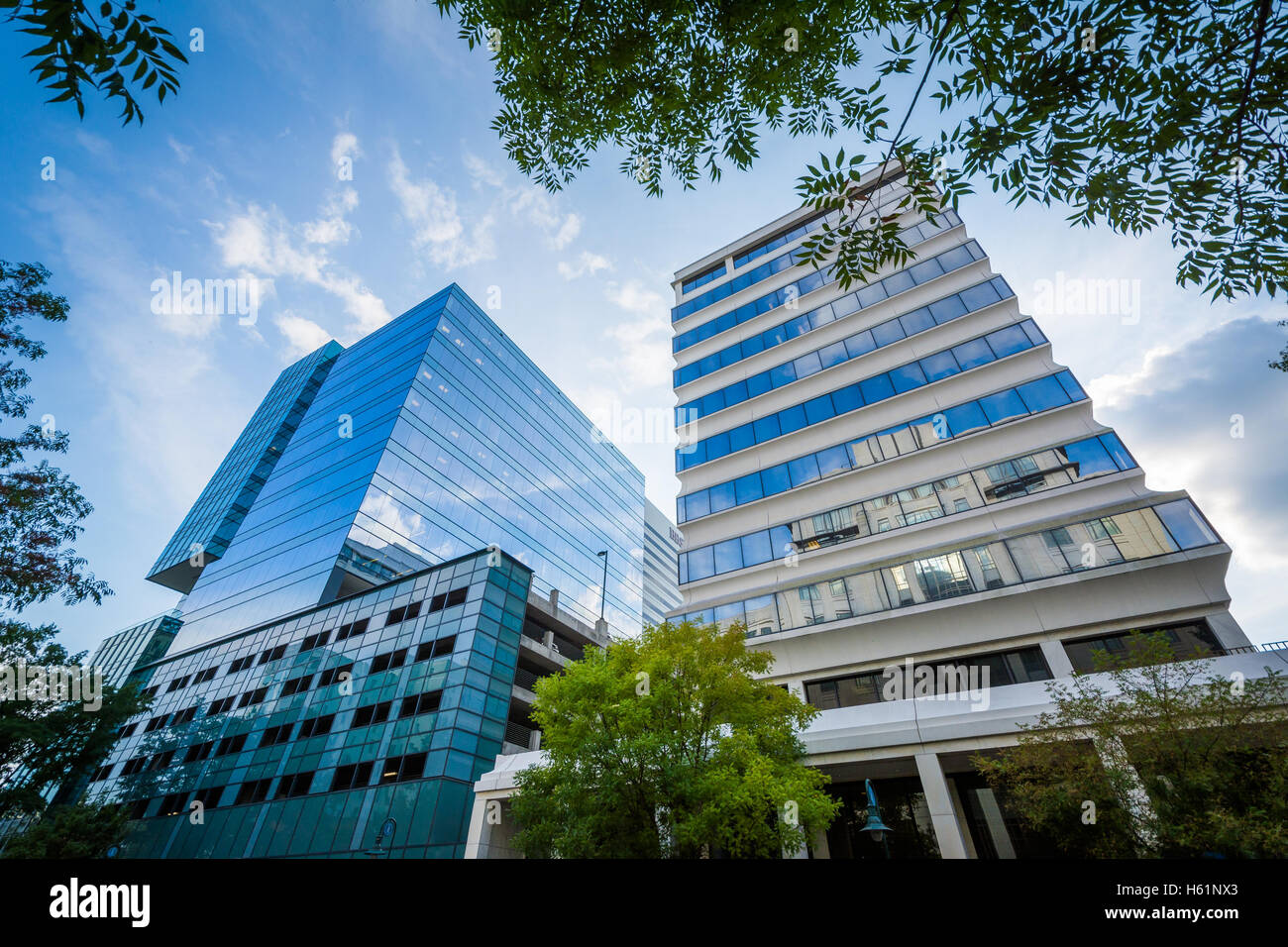Modern buldings in downtown Columbia, South Carolina Stock Photo - Alamy