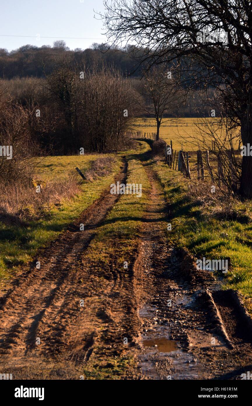 Dirt track through fields filled with mud after rains Stock Photo - Alamy