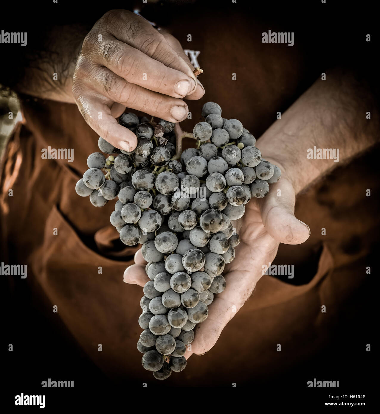 Farmers hands hi-res stock photography and images - Alamy