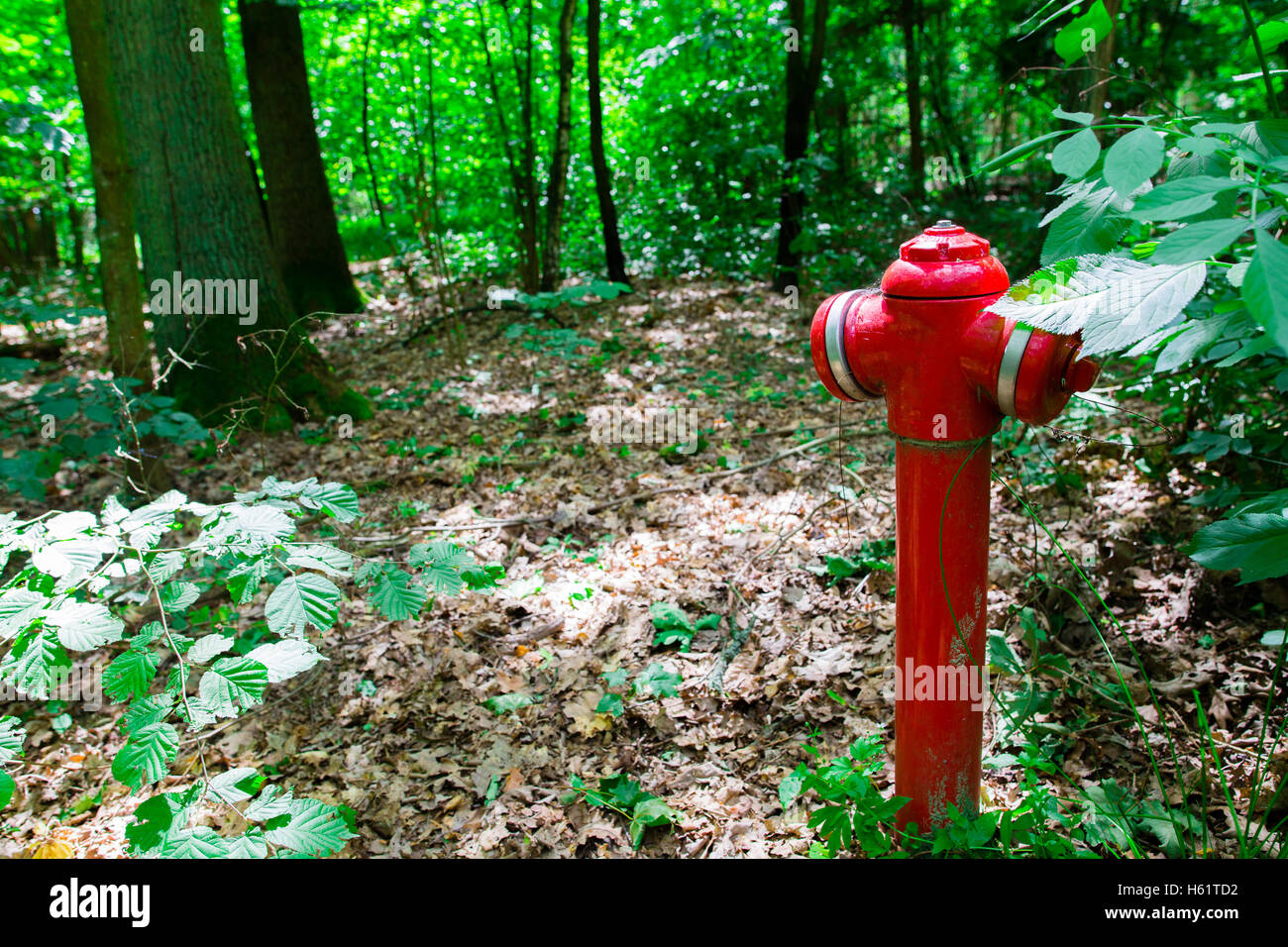 Forest fire equipment water hi-res stock photography and images - Alamy