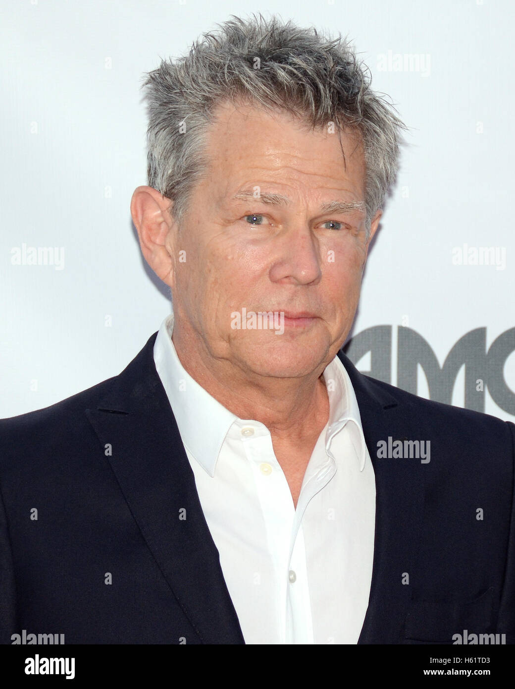 David Foster attends the 2015 LA's Promise Gala held at Universal ...