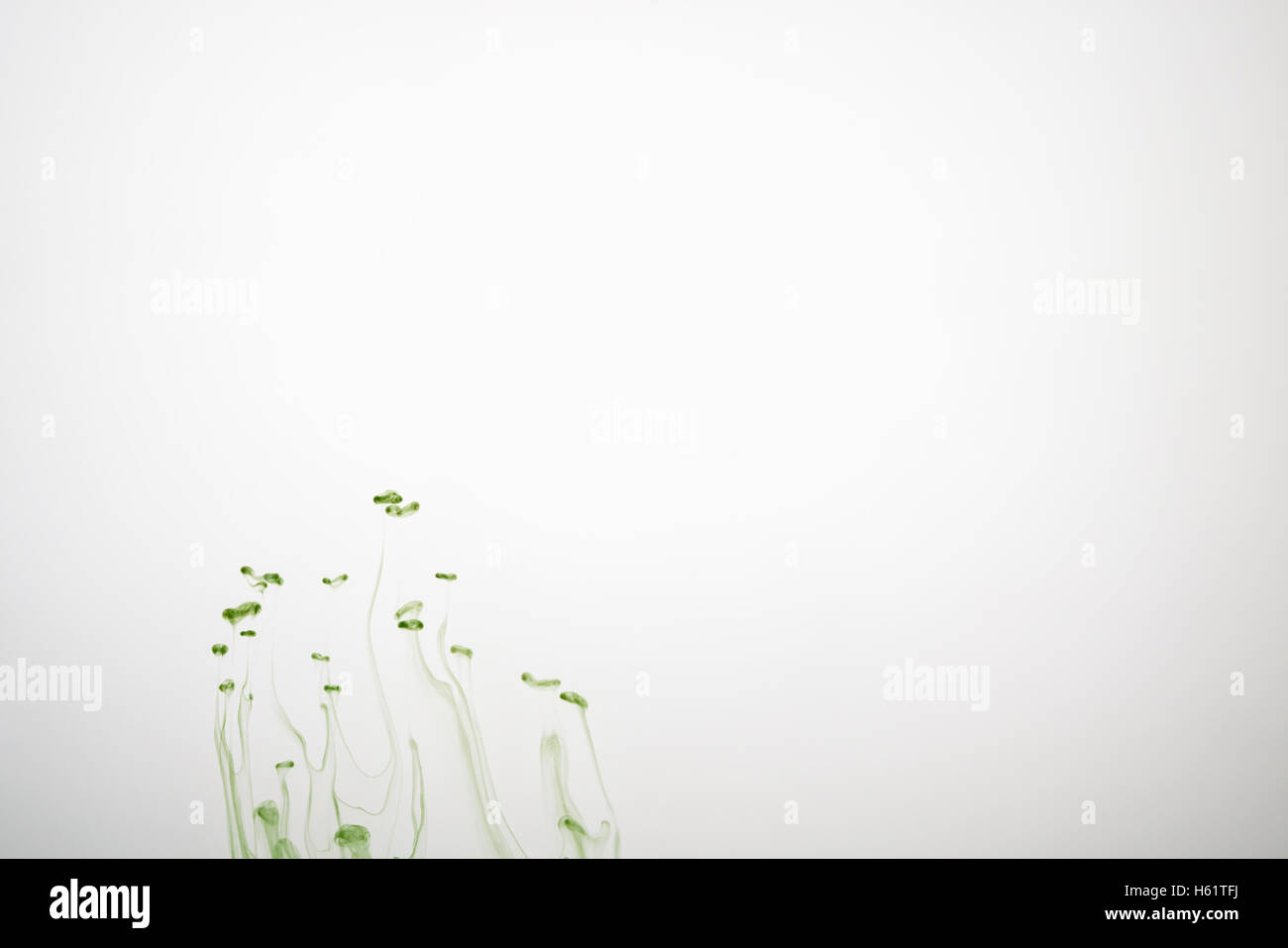 green ink poured in water Stock Photo - Alamy