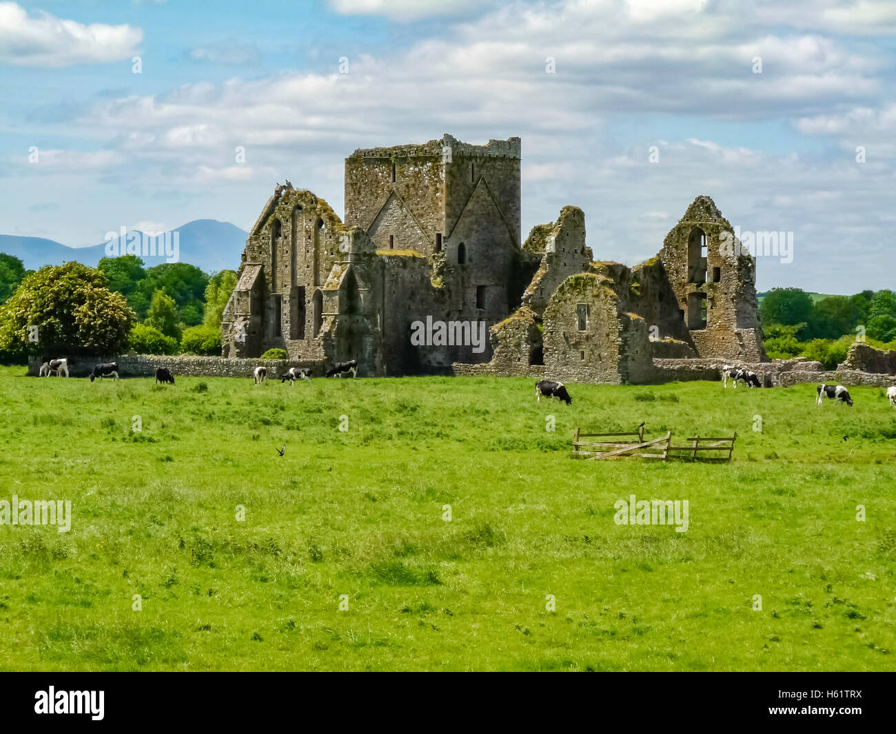 Hore abbey hi-res stock photography and images - Alamy