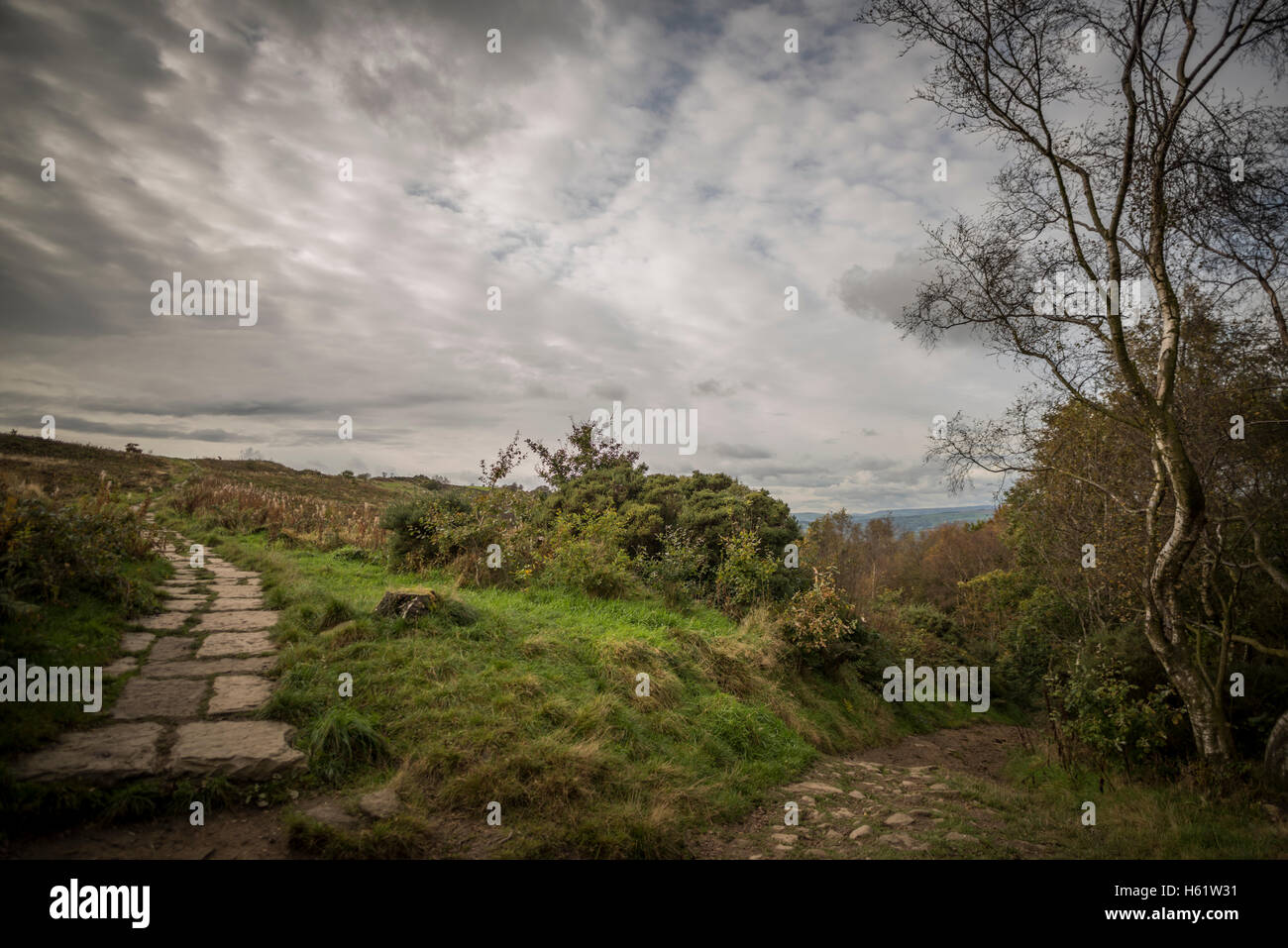View of otley from the chevin hi-res stock photography and images - Alamy