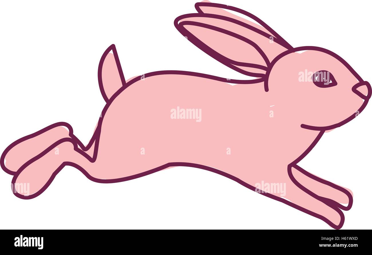 rabbit animal cartoon Stock Vector Image & Art - Alamy