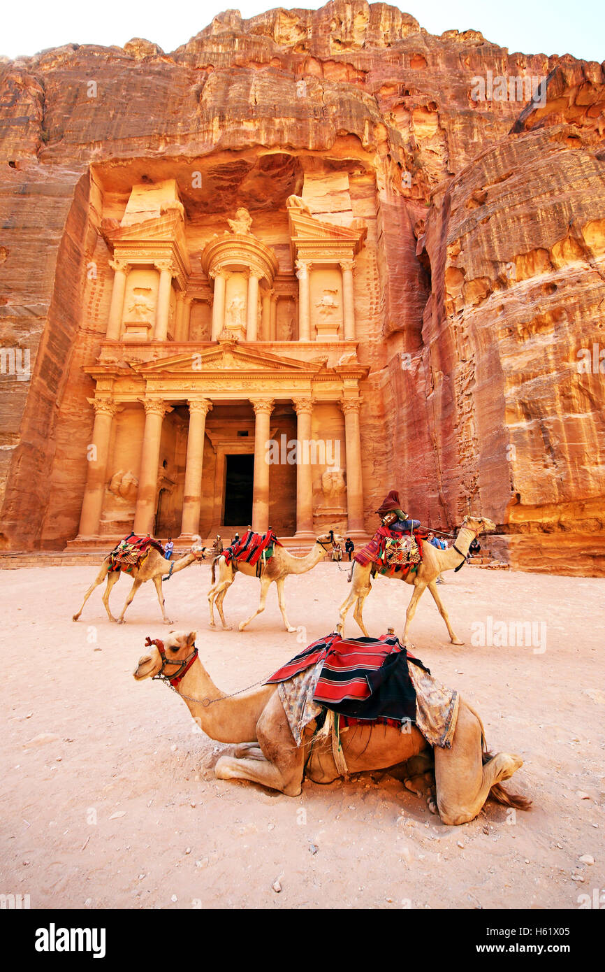 Old world camels hi-res stock photography and images - Alamy
