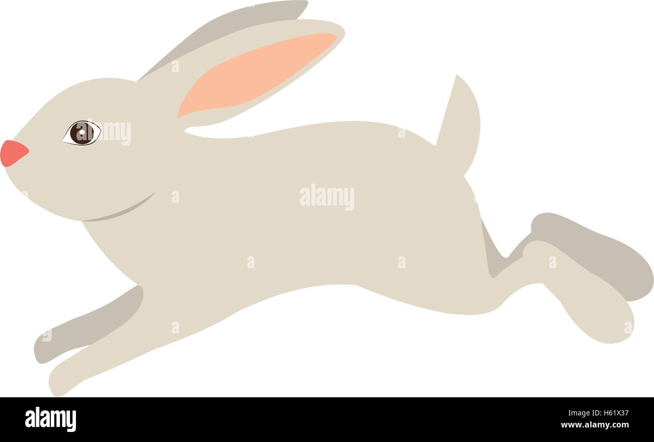 rabbit animal cartoon Stock Vector Image & Art - Alamy