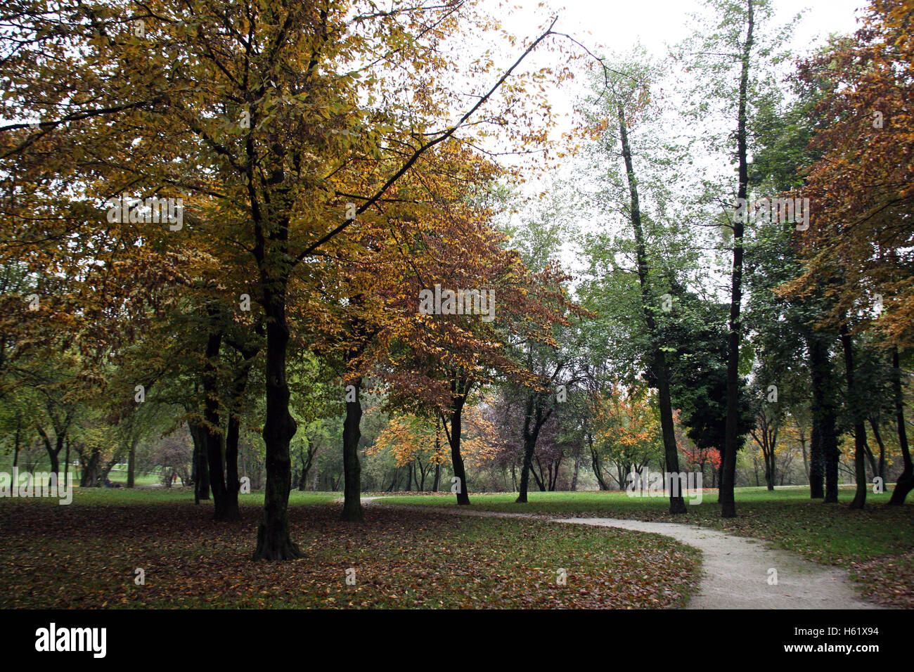 Zagreb's park and lake Bundek by autumn,Croatia,7 Stock Photo - Alamy