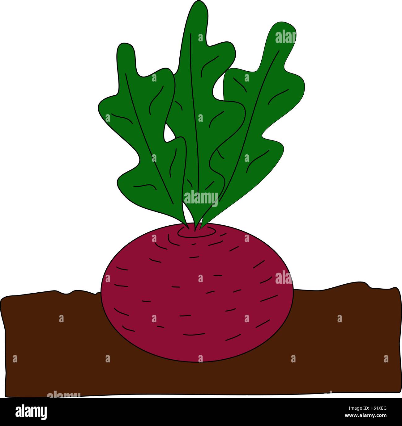 Purple white planting Stock Vector Images - Alamy