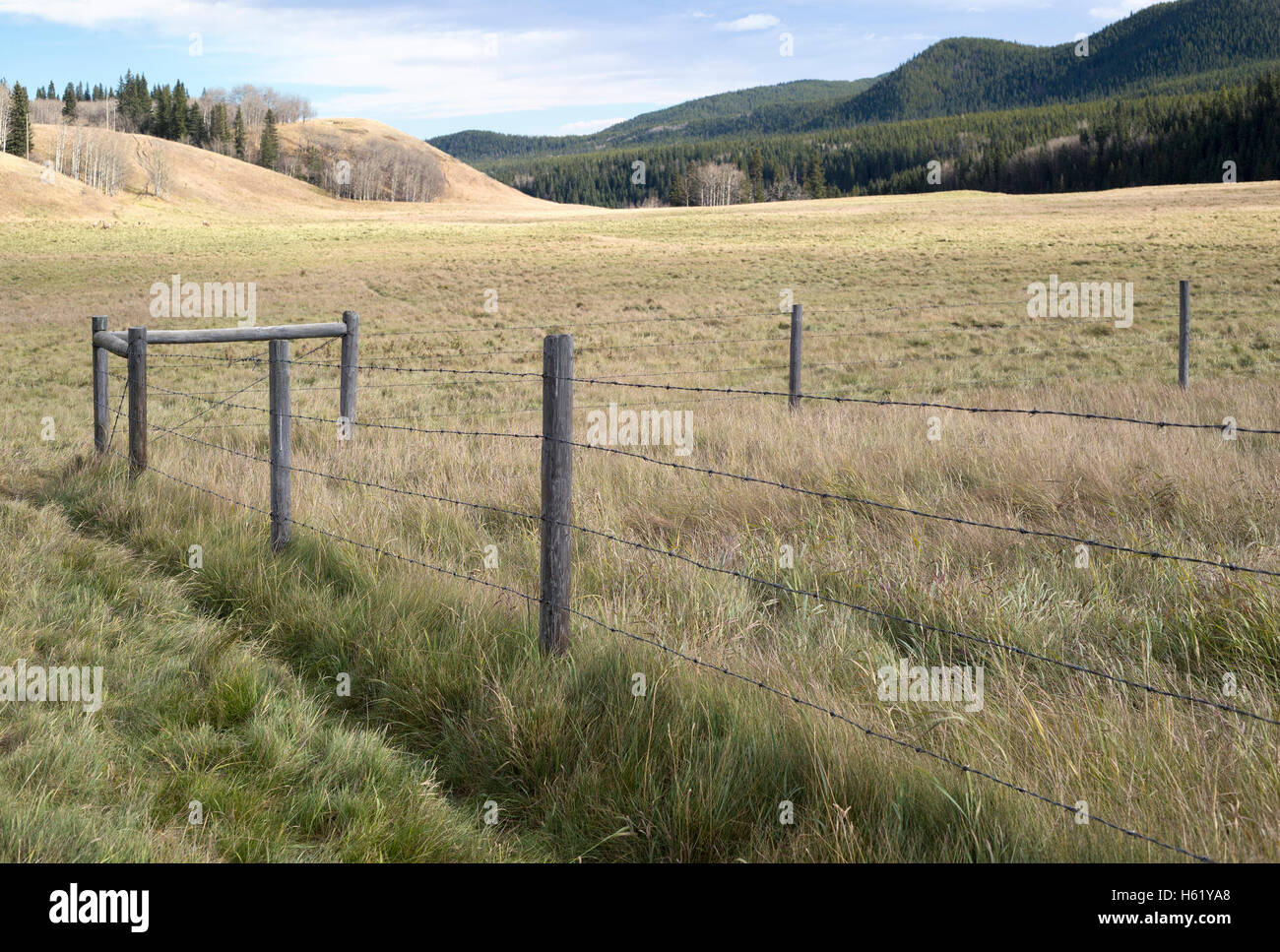 Fenced exclosure for research project to measure the effect of using ...