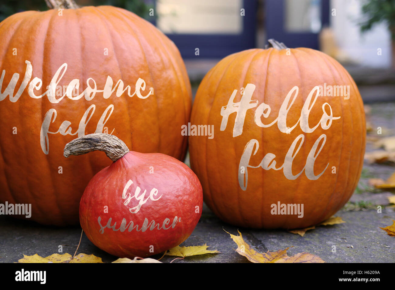 Welcome fall Pumpkins Background Stock Photo - Alamy