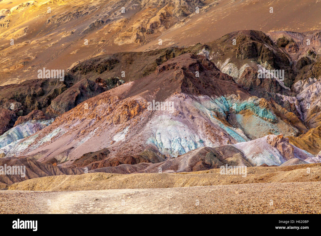 Natural color palettes hi-res stock photography and images - Alamy