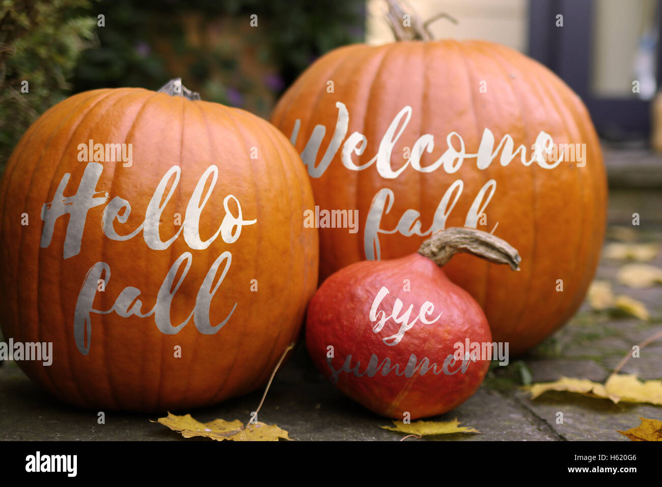 Welcome fall Pumpkins Background Stock Photo - Alamy