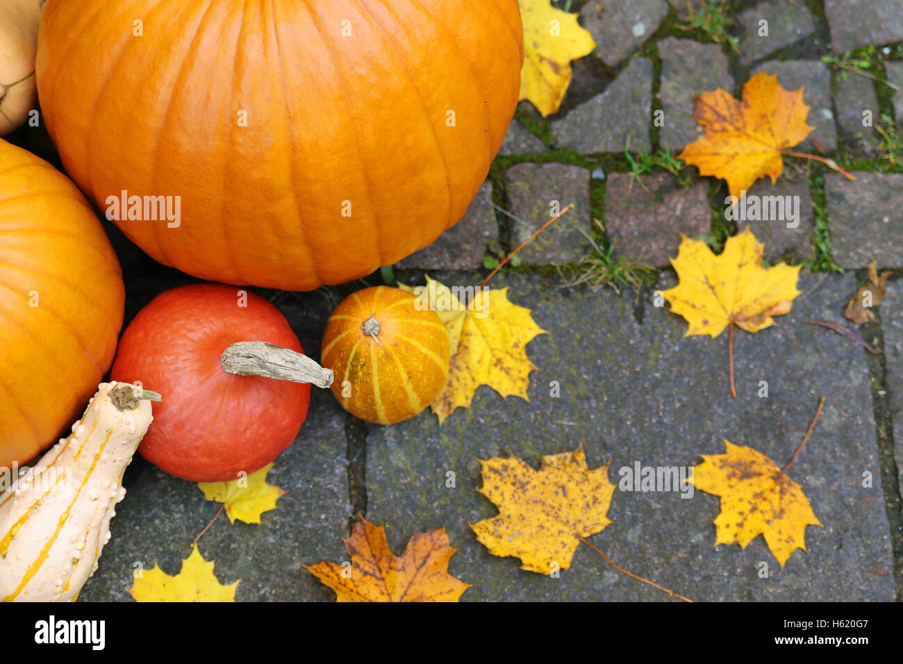 Welcome fall Pumpkins Background Stock Photo - Alamy
